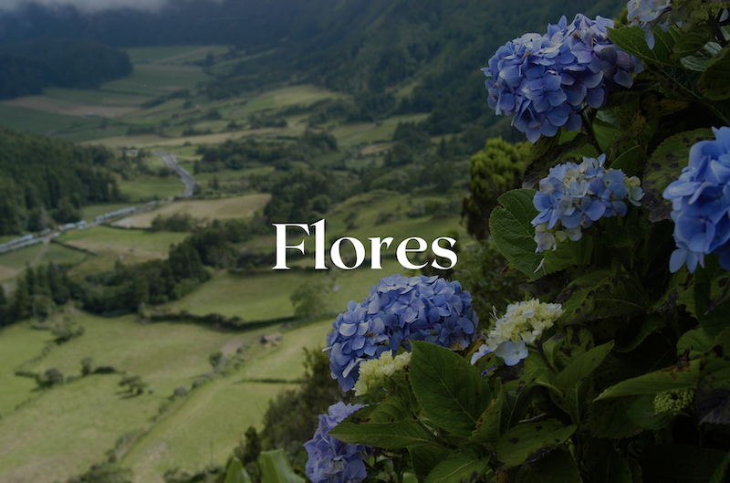Home - Azores Discovered